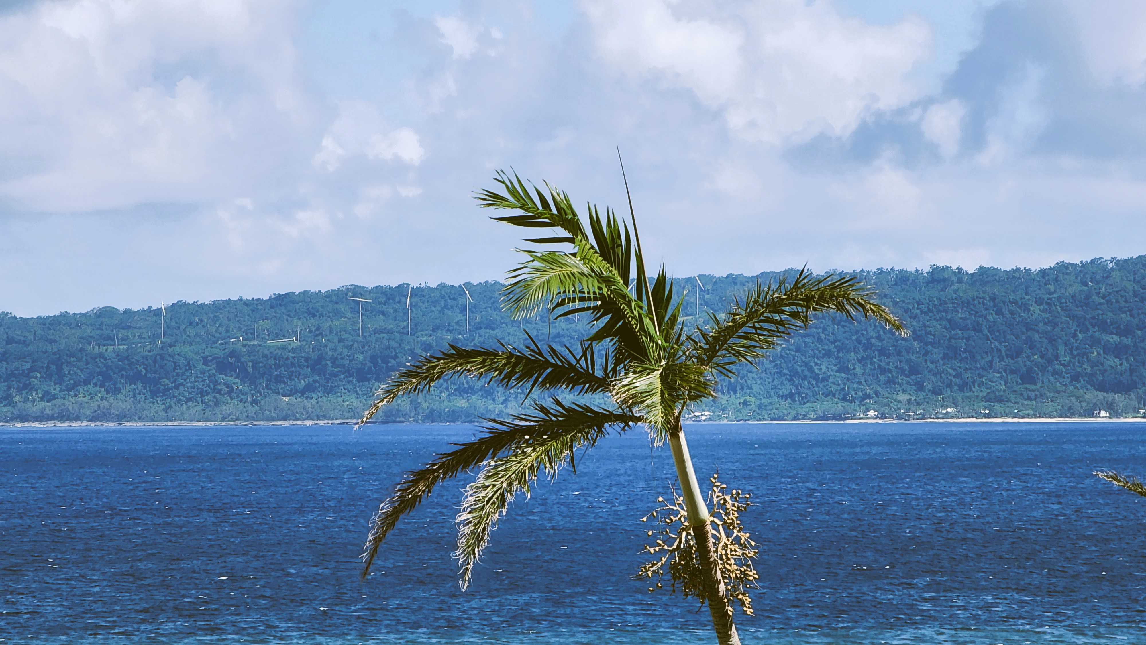 Offline-First PWA — Michael Toohig